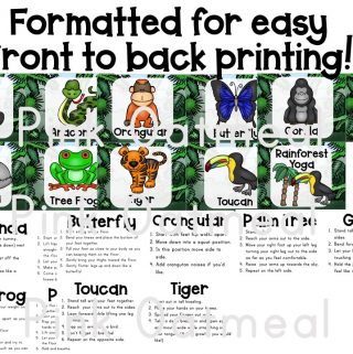 Rainforest Yoga - Pink Oatmeal Shop