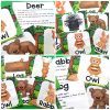 Forest/Woodland Themed Motor Pack | Pink Oatmeal Shop