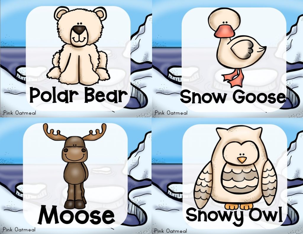 Arctic Animal Yoga - Pink Oatmeal Shop