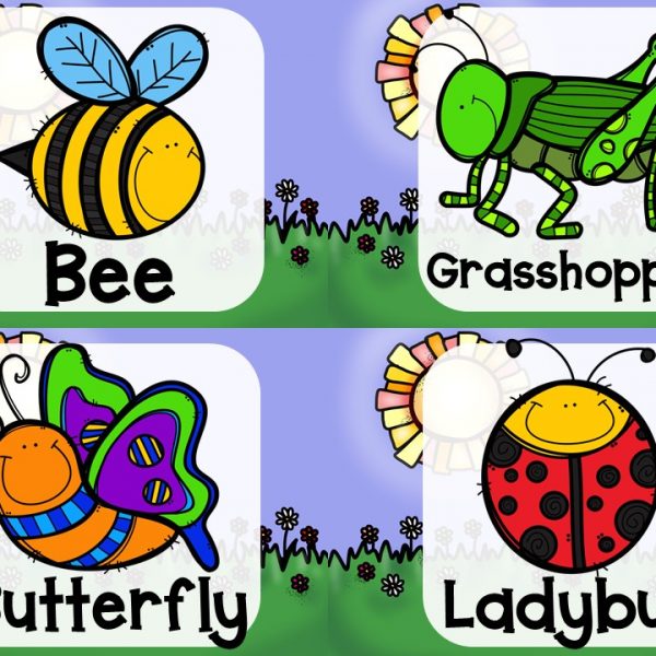 Insects, Bugs, and Creepy Crawlers Yoga - Pink Oatmeal Shop