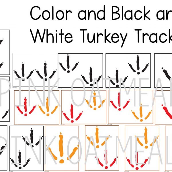 Thanksgiving Themed Sensory Path and Motor Path Printables - Pink ...