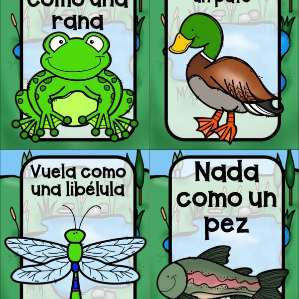 Wetland Movement Cards and Printables -Spanish - Pink Oatmeal Shop