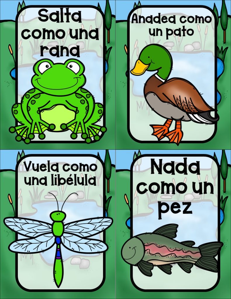 Wetland Movement Cards and Printables -Spanish - Pink Oatmeal Shop