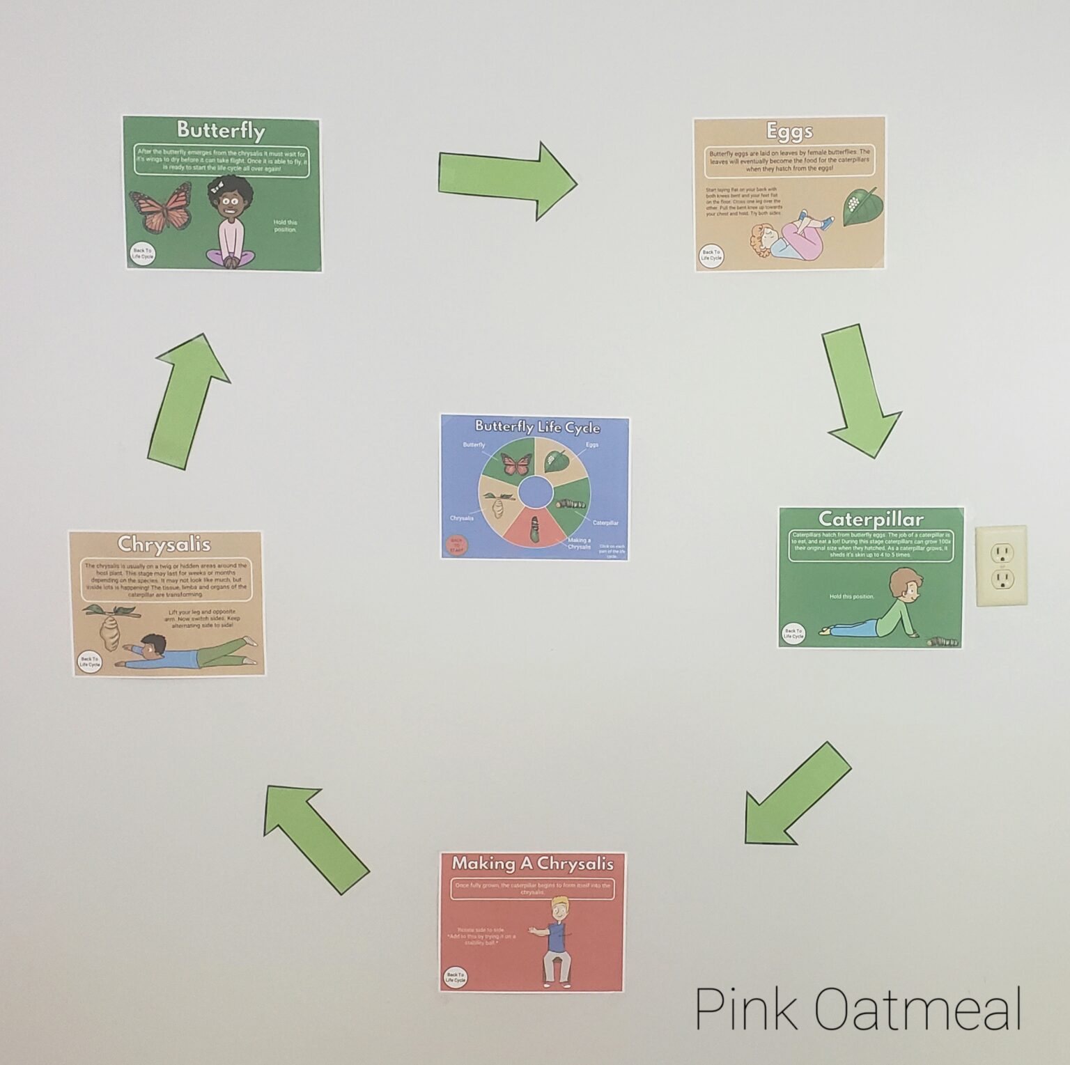 Summer Life Cycle Movement Games - Mosquito, Butterfly, Watermelon ...
