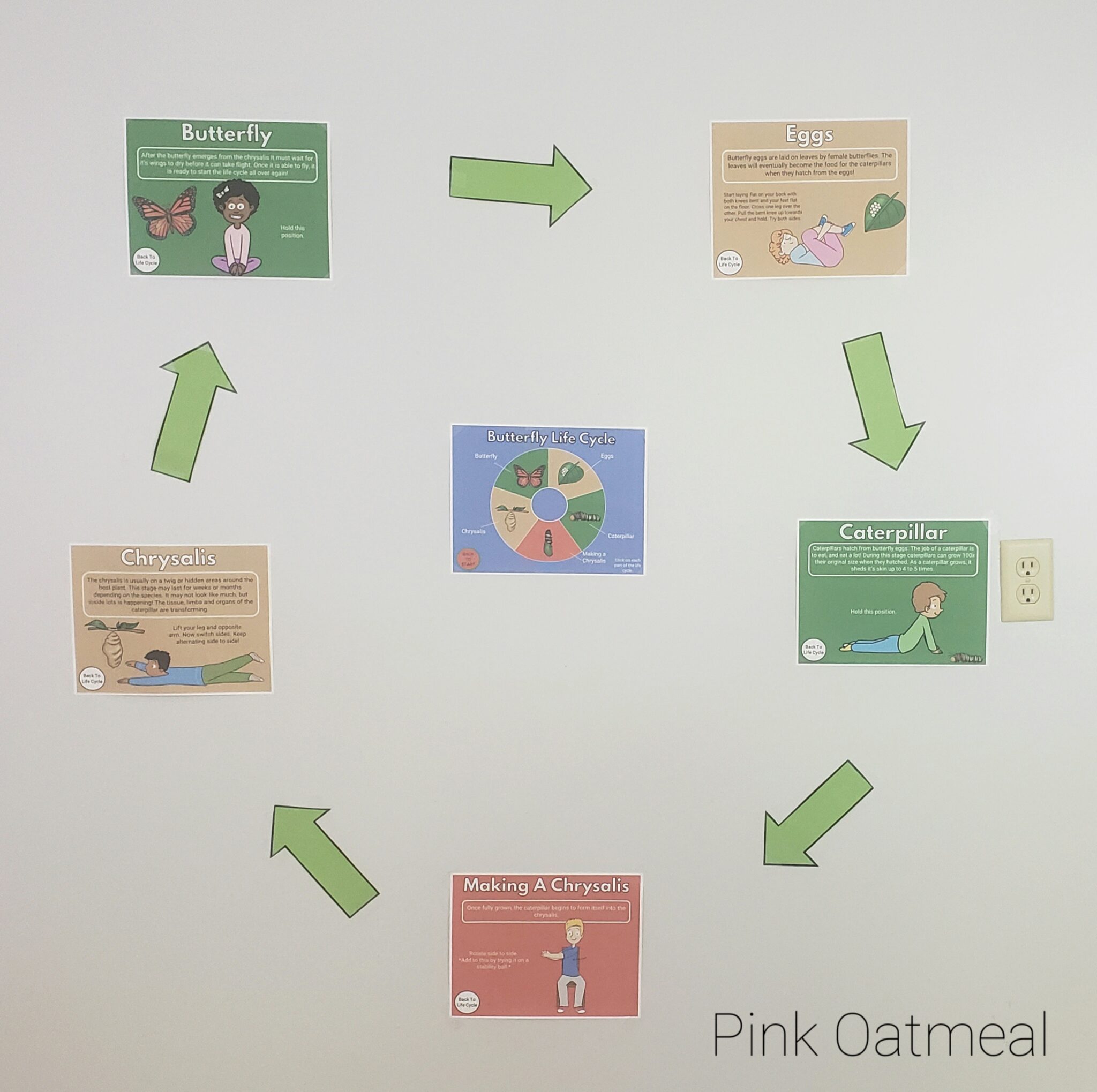 Summer Life Cycle Movement Games - Mosquito, Butterfly, Watermelon ...