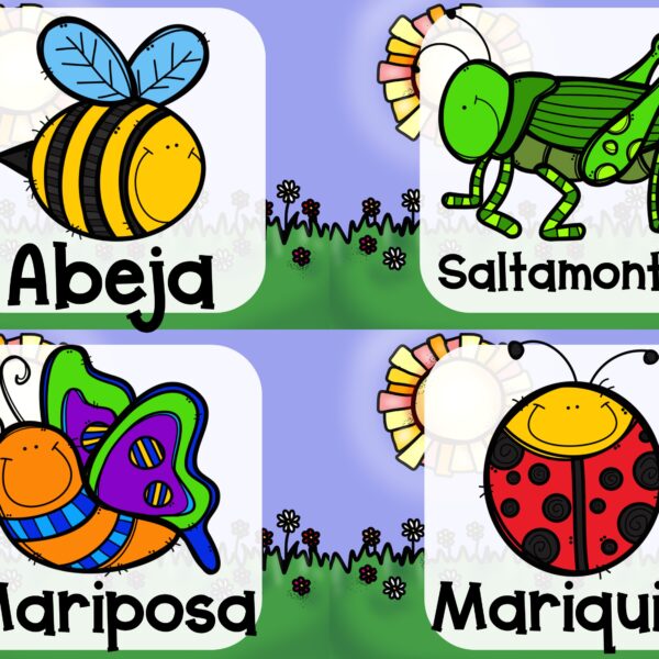 Insect, Bugs, and Creepy Crawlers Yoga Clips - Spanish Version - Pink ...
