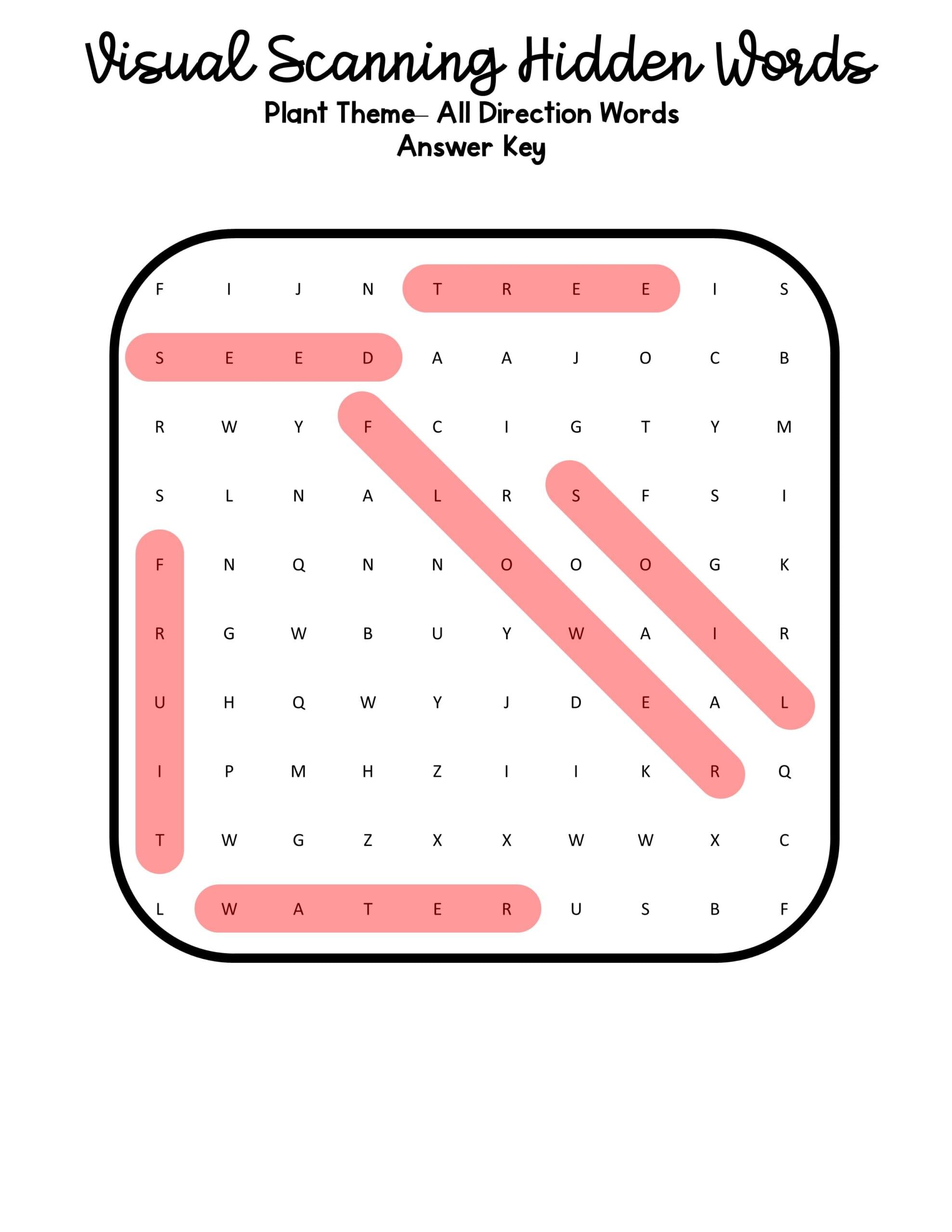 Hidden Word Visual Scanning - Pink Oatmeal Shop